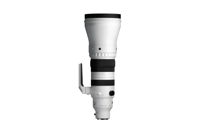 Sigma 300-600mm F4 DG OS Sports E-Mount