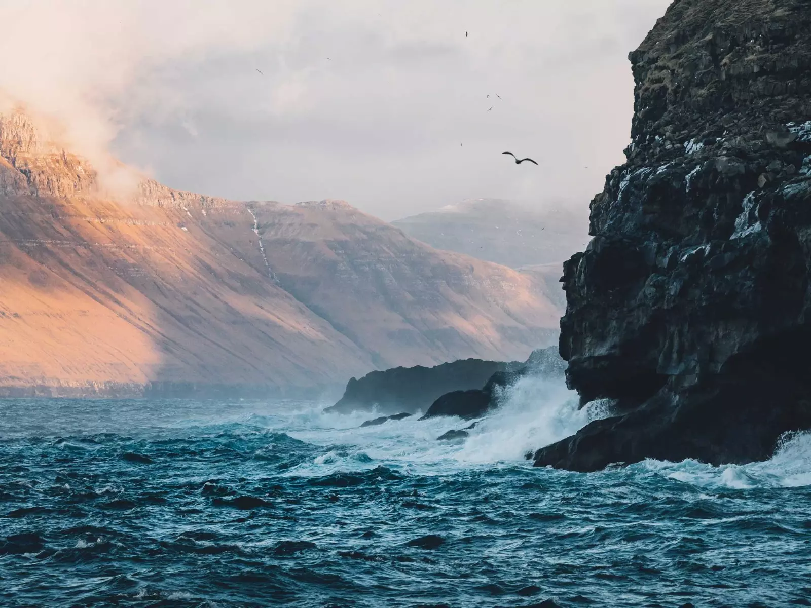 INTERVIEW MIT LEO THOMAS