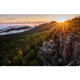 Fotografieren mit dem Fujifilm X-System